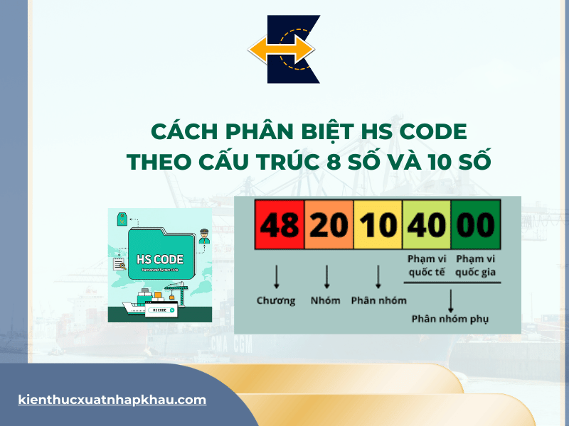 Cách Phân Biệt HS Code Theo Cấu Trúc 8 Số Và 10 Số