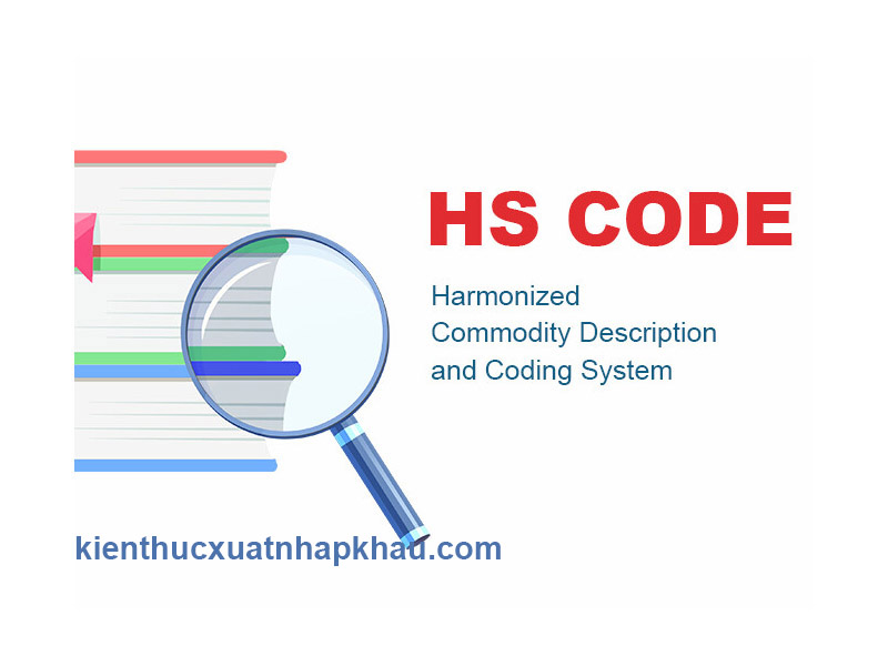 Kinh Nghi m Tra M HS Code Ch nh X c